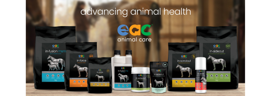 Vet Products Online - Vet Supplies by Aussie Vet Products