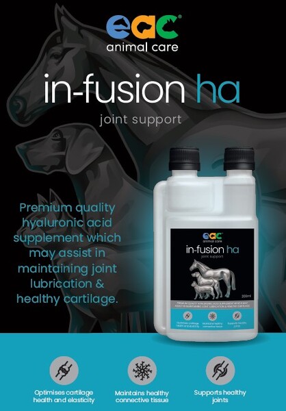 Buy In-Fusion ha - Hyaluronic Acid Supplement For Horses, Dogs & Cats ...